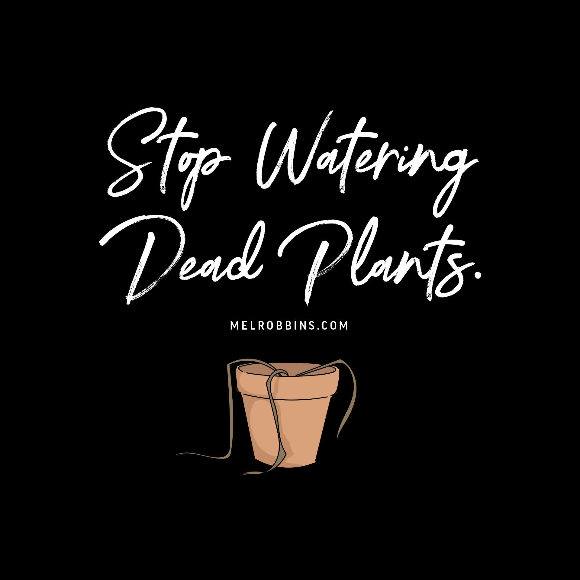 Invading France and When To Stop Watering Dead Plants…. Bring on 2024 ...